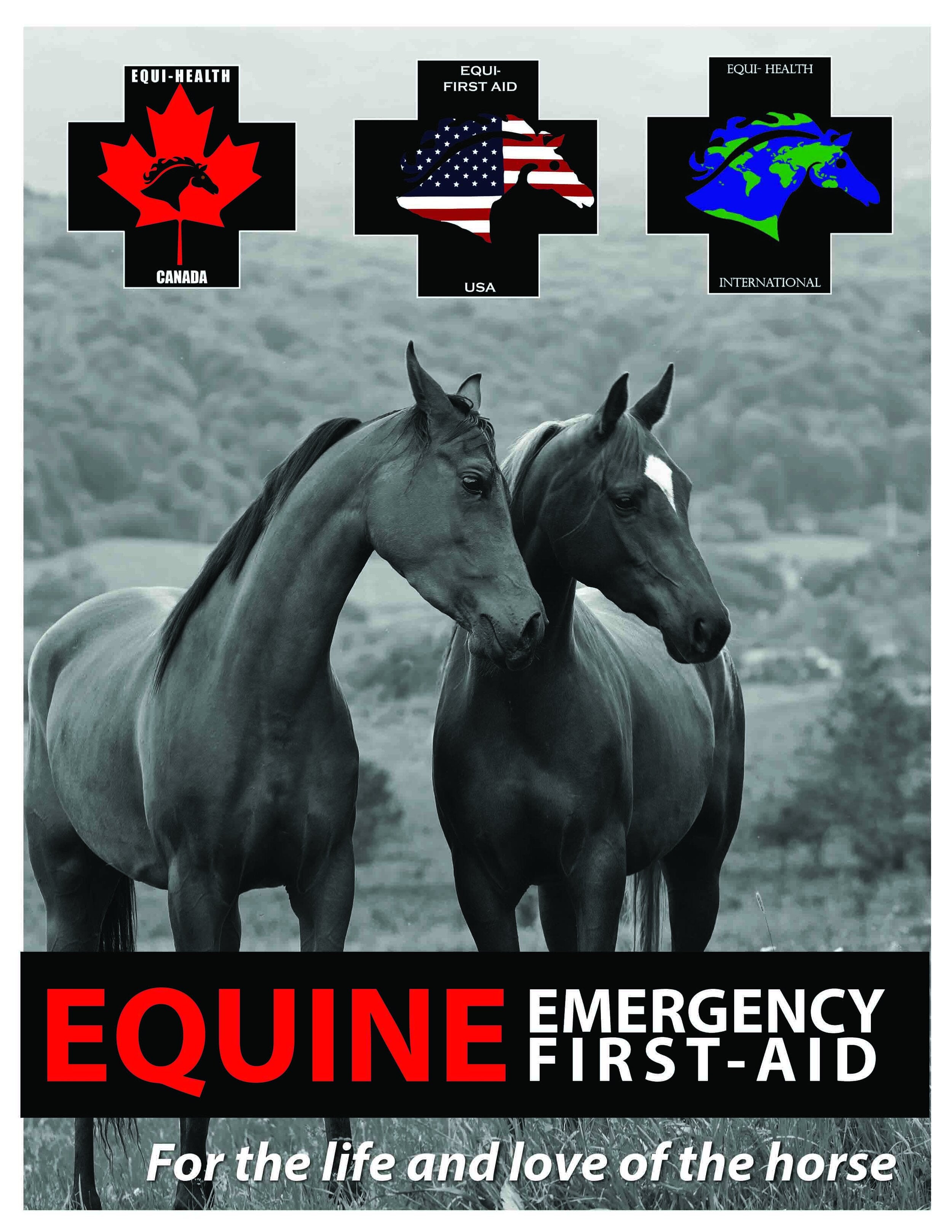 Equine Health and Emergency First Aid | Stand Sure Equine First Aid