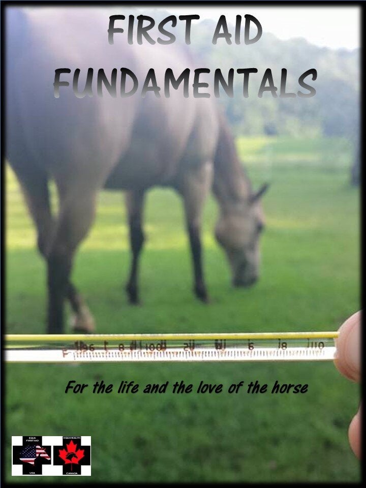 First Aid Fundamentals | Stand Sure Equine First Aid